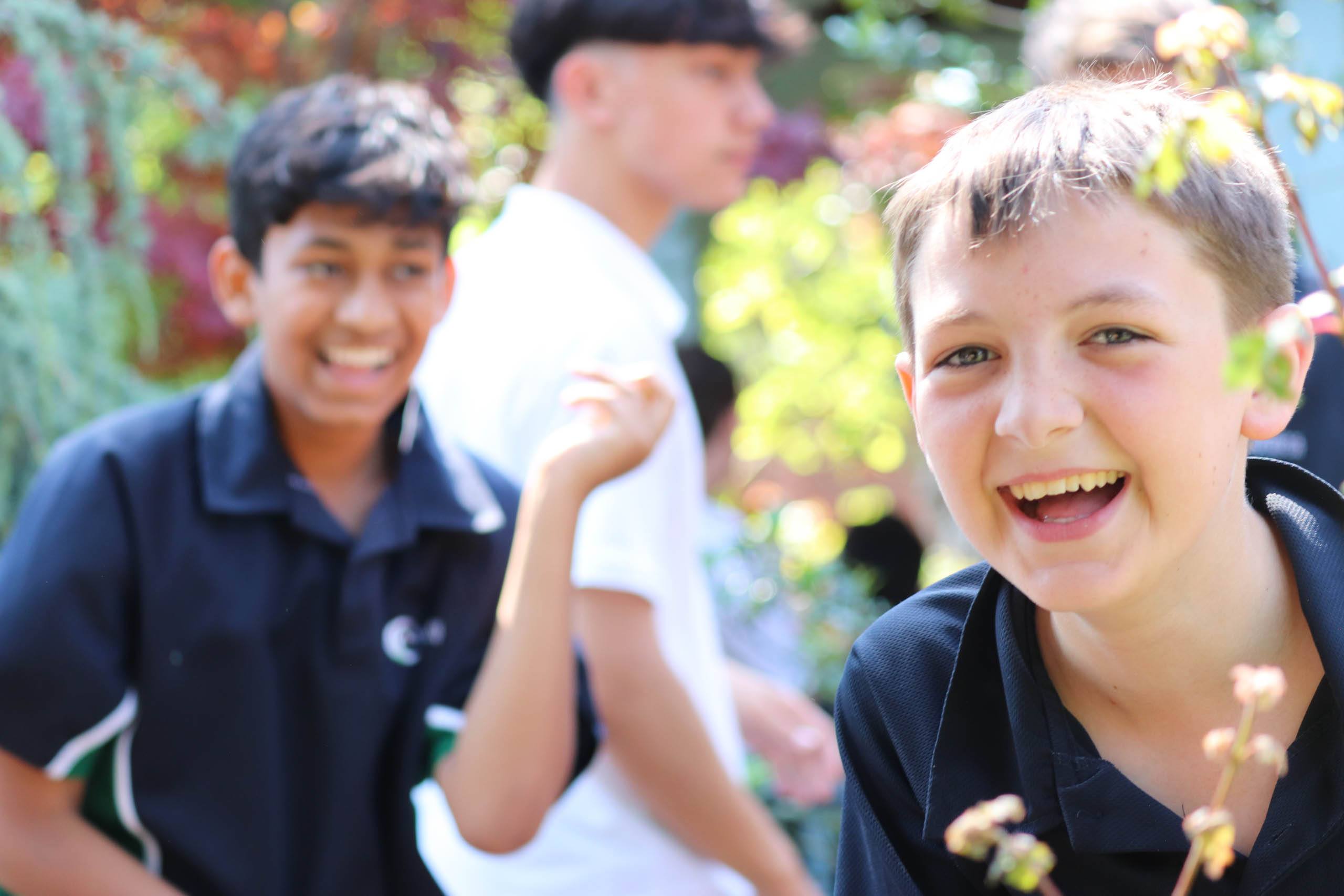 Hall School Wimbledon - Independent, co-educational school for pupils ...